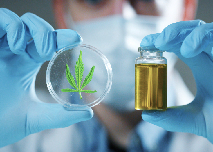 What Does No THC Mean On A Drug Test? - Lighthouse Treatment Center